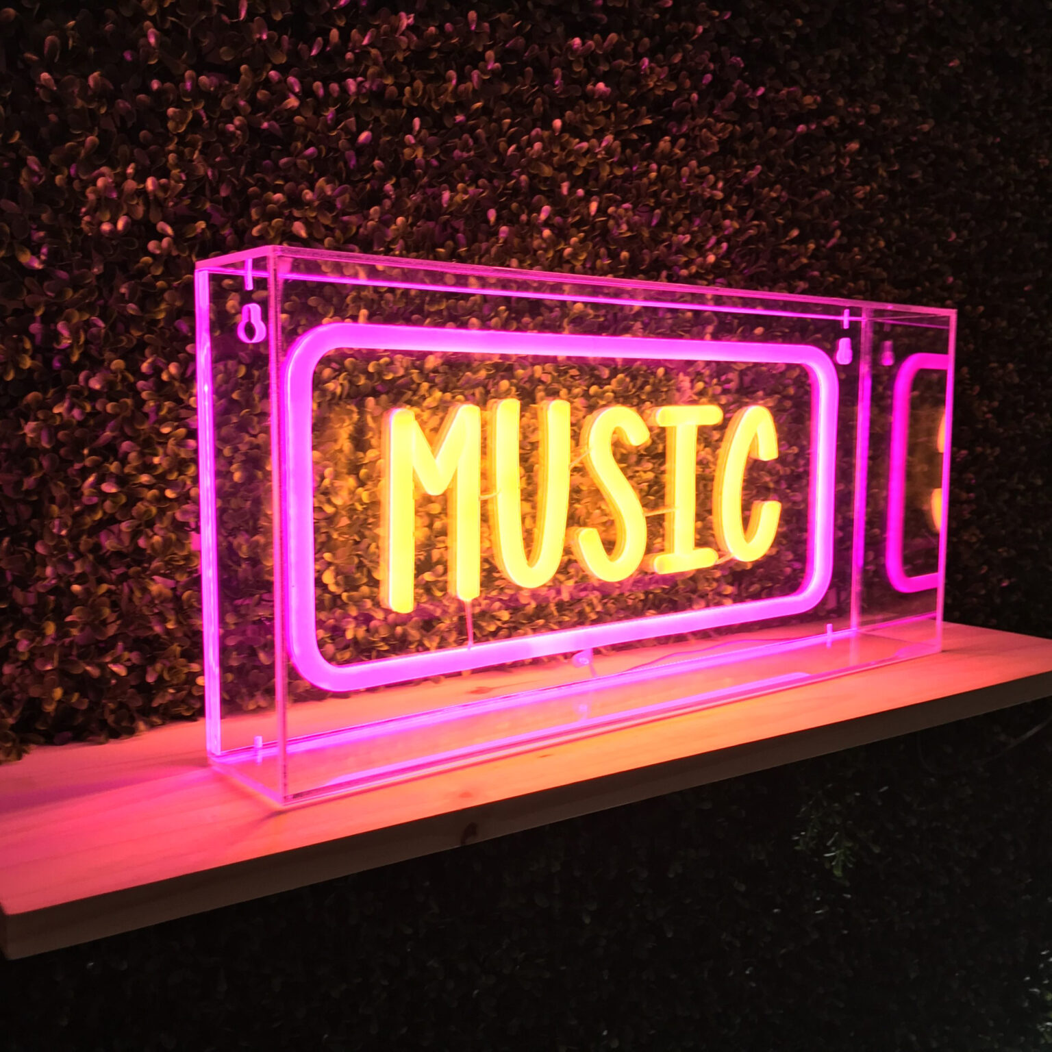 Neon Box - PRONA MAX